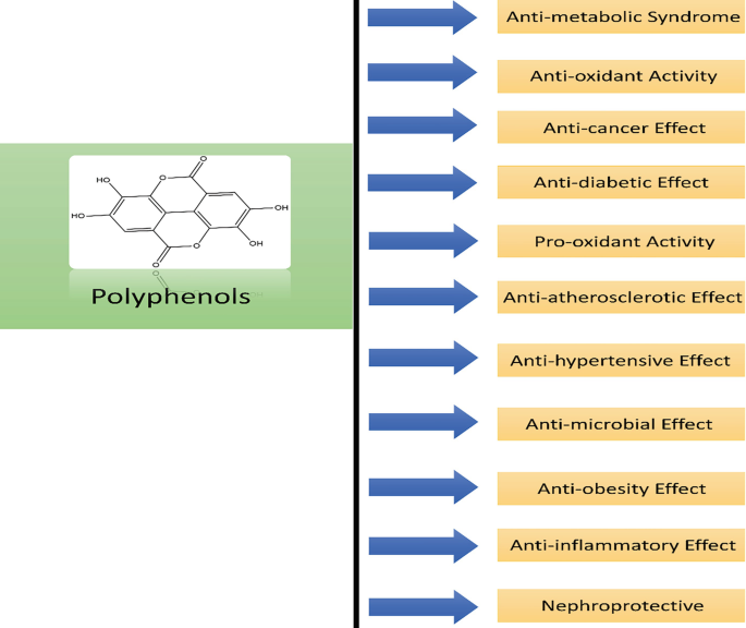 Polyphenols as Functional Foods and Nutraceuticals | SpringerLink
