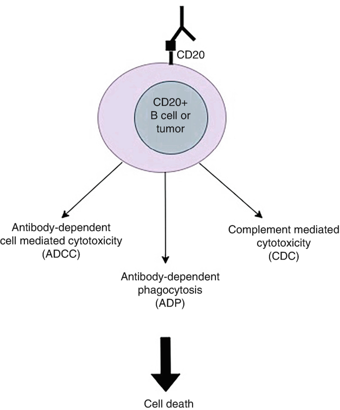 Immune Checkpoint Inhibitors in Oncology | SpringerLink