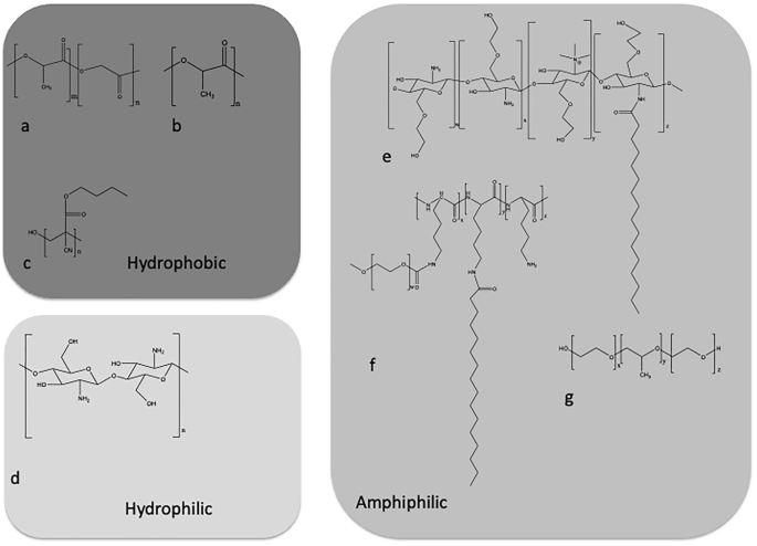Polymeric Nanoparticles | SpringerLink