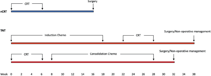 Total Neoadjuvant Therapy (TNT) in Rectal Cancer; Where Now, Where Next ...