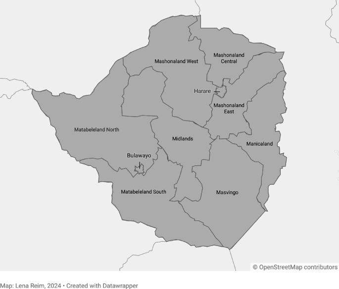 History-Making as Othering: Perspectives on Zimbabwe’s Patriotic ...