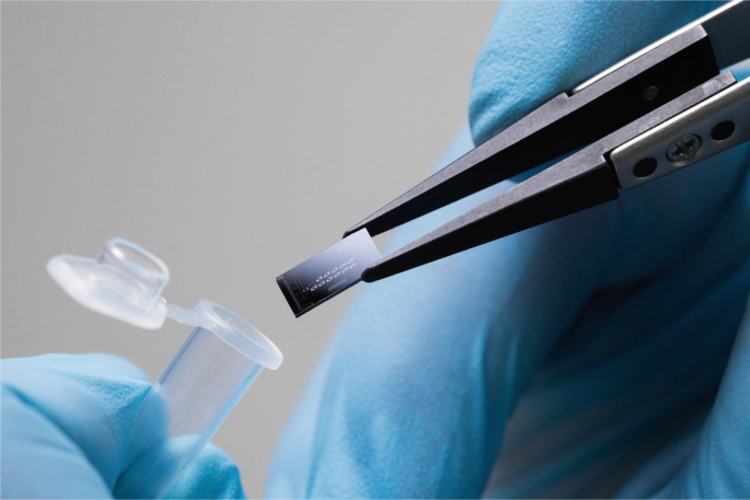 Biochips | SpringerLink