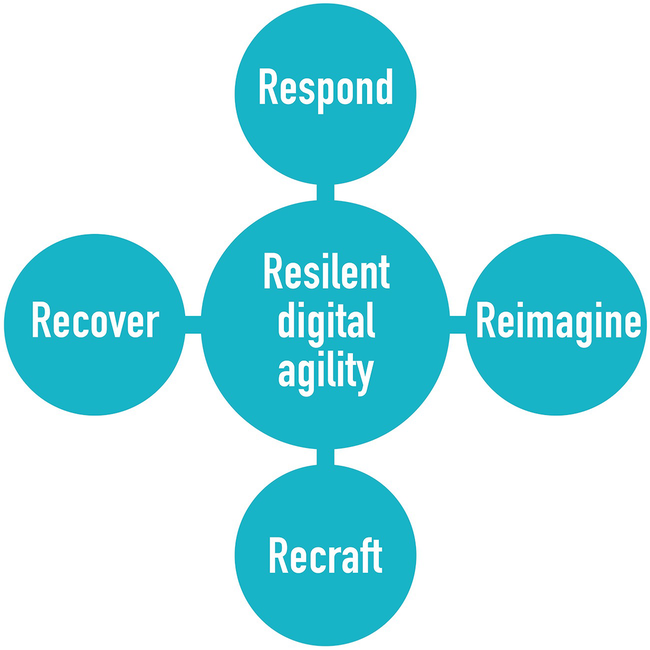 Theorization on the Nexus of Crisis, Resilience, and Digital Agility ...