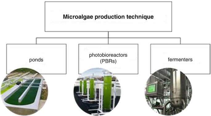 Economic Evaluation of Microalgae Production Costs: A Perspective on ...