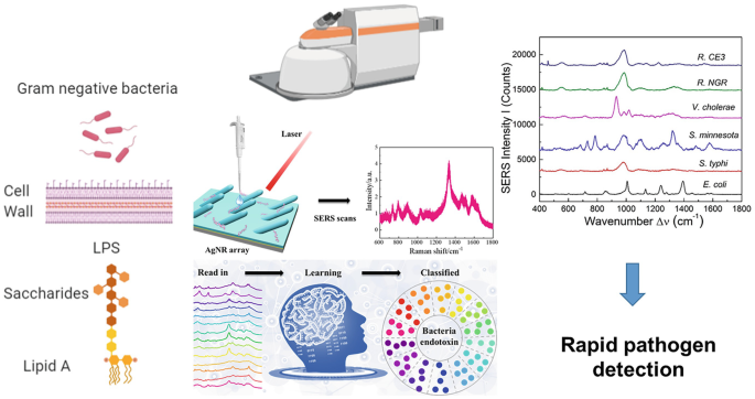 A Comprehensive Review of Algorithms Developed for Rapid Pathogen ...