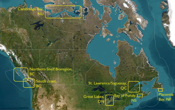 Addressing the Cumulative Effects of Marine Shipping Through Area-Based ...