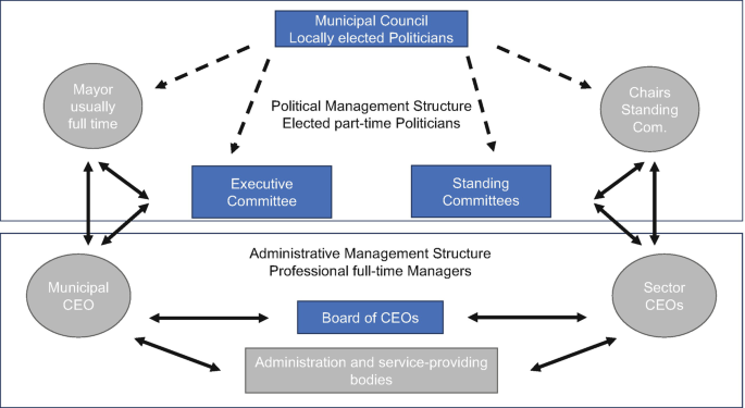 The Nordic Municipal CEO | SpringerLink