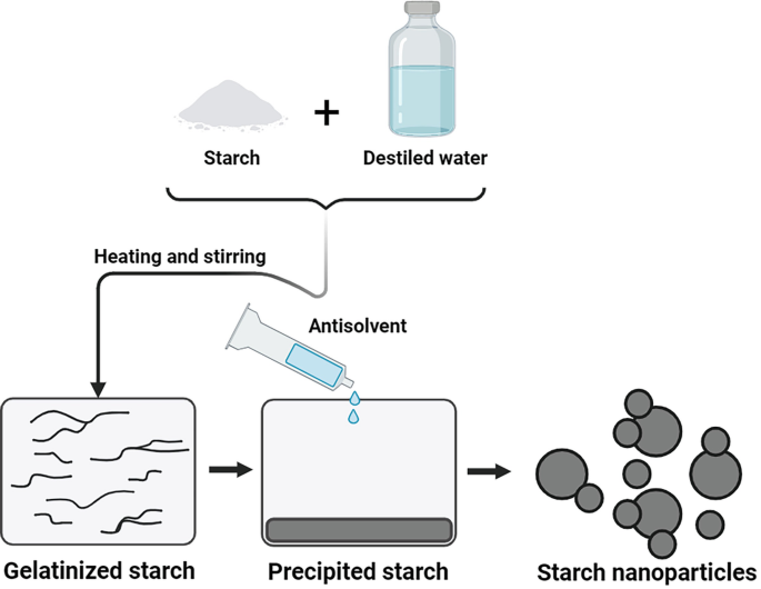A Brief Introduction to Starch-Based Nanomaterials | SpringerLink