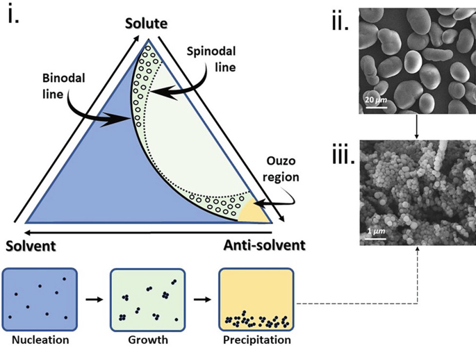 Starch Nanoparticles | SpringerLink
