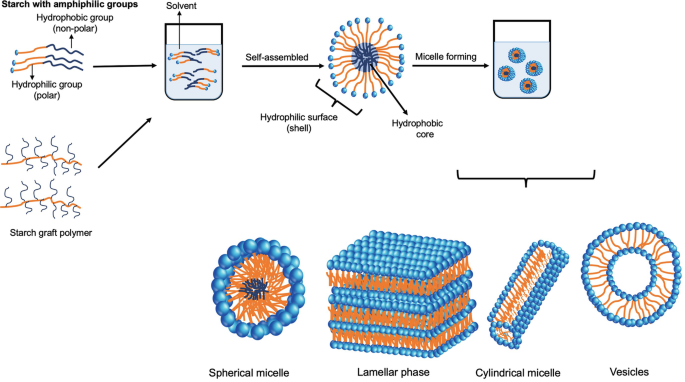Starch Nanovesicles and Nanomicelles | SpringerLink