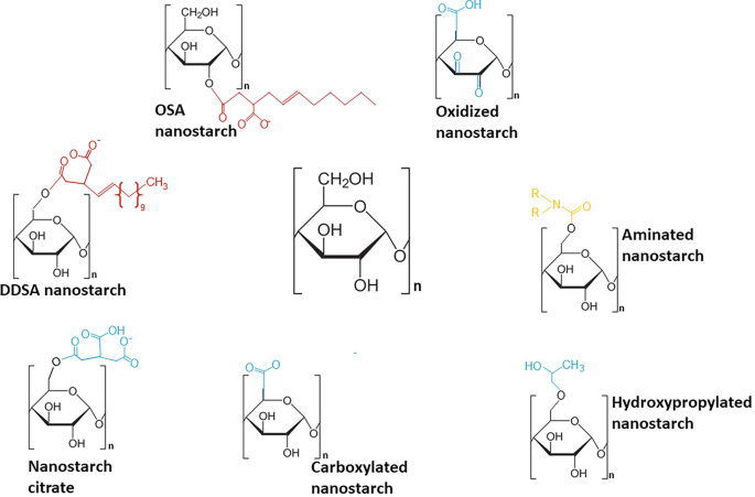 Starch Nanomaterials for Adsorption and Encapsulation | Springer Nature ...