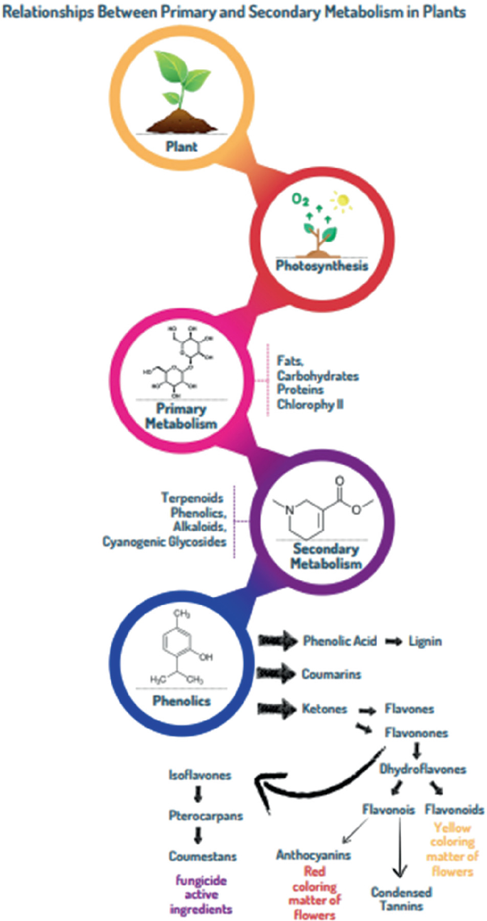 Biologically Active Compounds from Medicinal and Aromatic Plants for ...