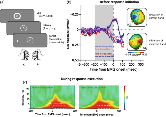 The Motor of Time: Coupling Action to Temporally Predictable Events ...