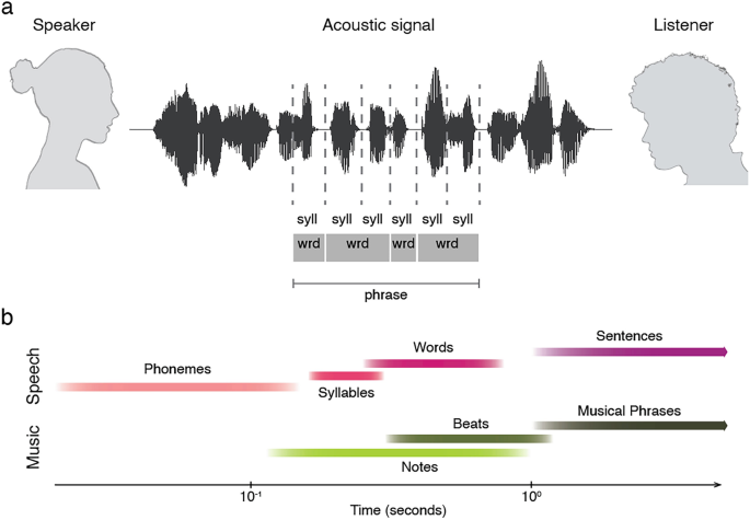 Rhythms in Speech | SpringerLink