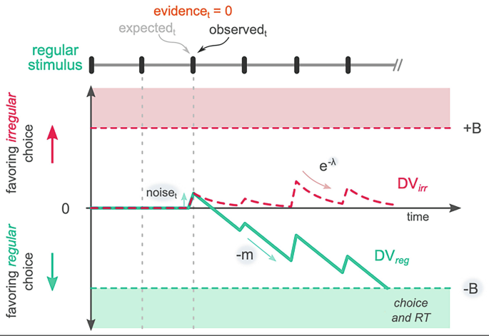 Estimating Time and Rhythm by Predicting External Stimuli | SpringerLink