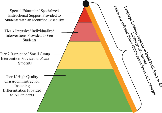 The Intersection of Special Education and Language Services | SpringerLink
