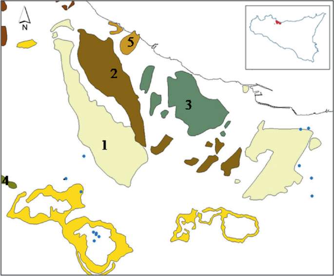 Trabia and Termini-Imerese Hydrogeological Basin | Springer Nature Link