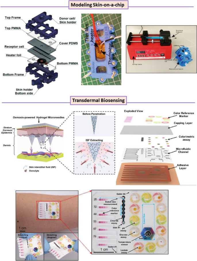 Microfluidic Technologies for Precise Drug Delivery | SpringerLink