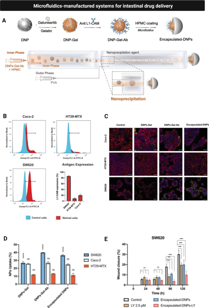 Microfluidic Technologies for Precise Drug Delivery | SpringerLink