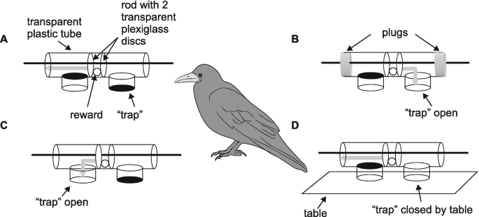 Causal Understanding | Springer Nature Link (formerly SpringerLink)