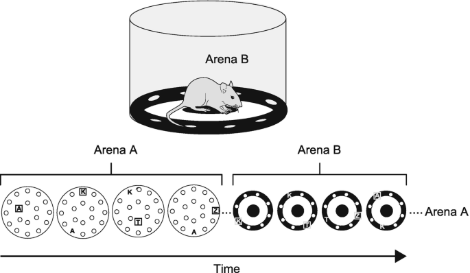 Episodic Memory | Springer Nature Link (formally SpringerLink)