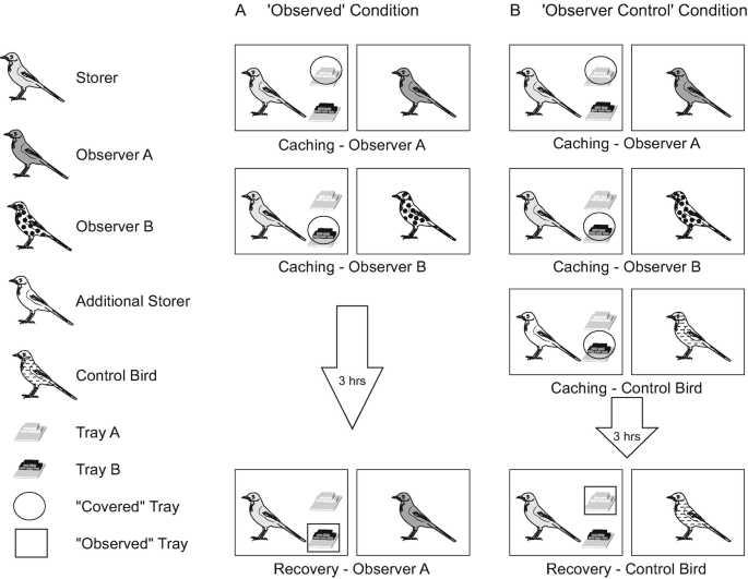 Mind Reading | SpringerLink