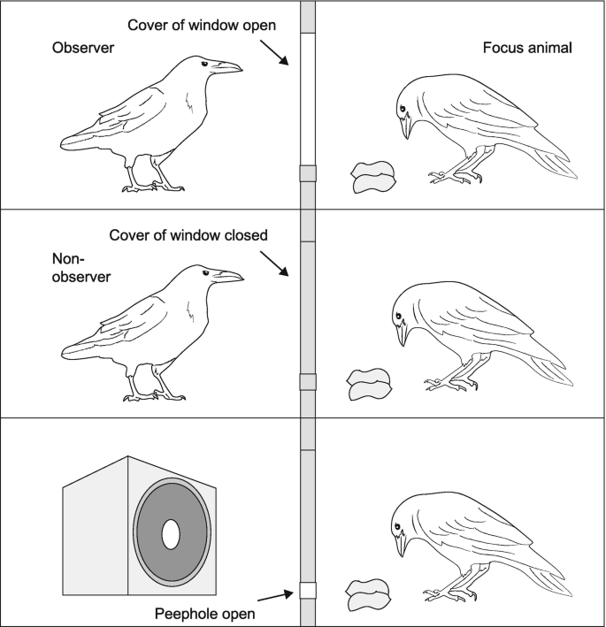 Mind Reading | SpringerLink