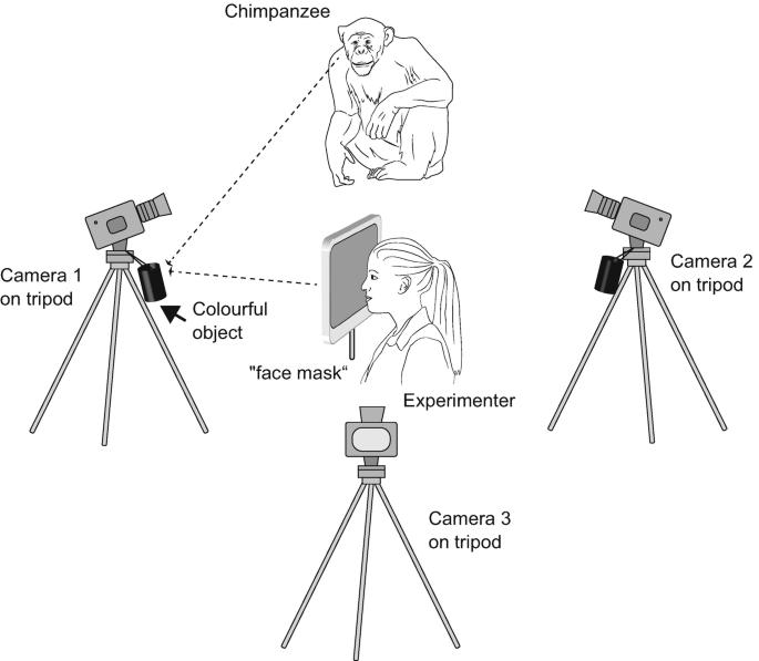 Mind Reading | SpringerLink
