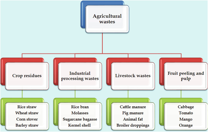 Agricultural Waste and Its Impact on the Environment | SpringerLink