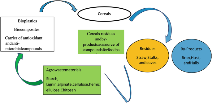 Sustainable Packaging Solution from Agriculture Waste: Production of ...