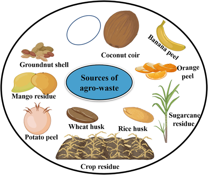 Production of Metallic Nanoparticles From Agriculture Waste and Their ...