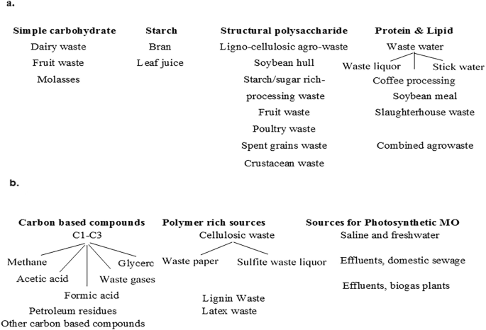 Agriculture and Other Waste Substrates for Single-Cell Protein ...