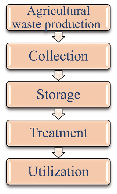 Agricultural Waste for Biofertilizers and Soil Amendments | SpringerLink