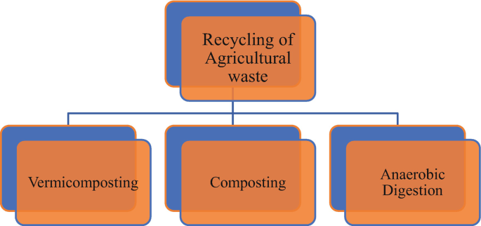 Agricultural Waste for Biofertilizers and Soil Amendments | SpringerLink
