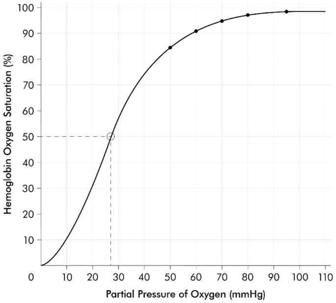The Function of Normal Human Hemoglobin | SpringerLink