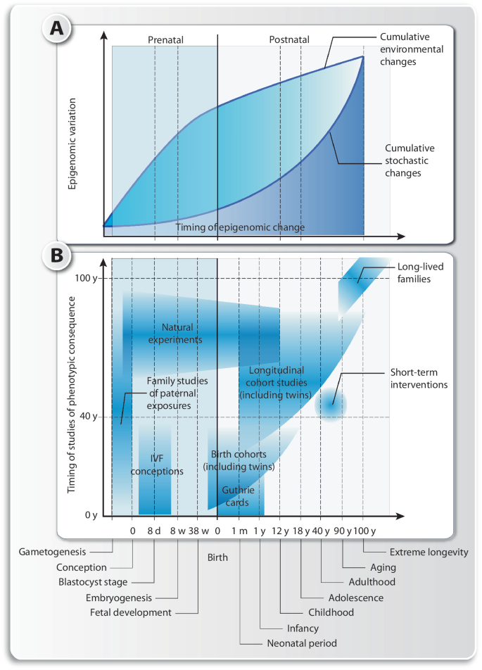 Epigenetics, Memory and Aging | SpringerLink