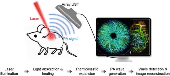 Photoacoustic Imaging and Applications with Reversibly Switchable ...