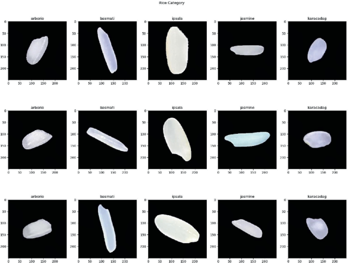 Comparative Analysis of Deep Learning Architectures for Rice Crop Image Classification ...