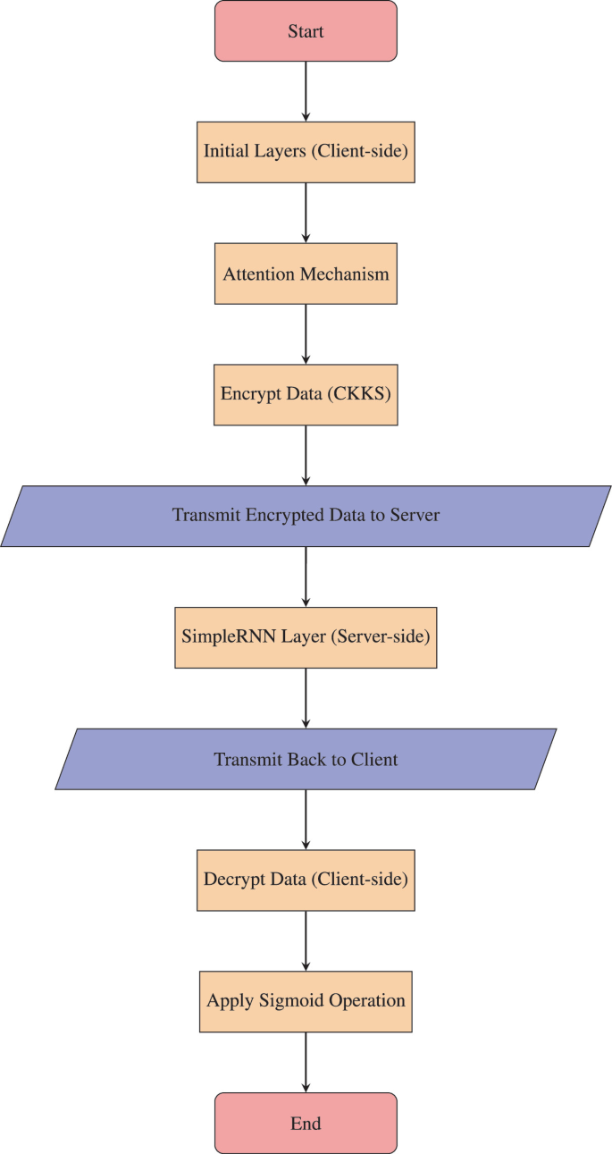 Privacy-Preserving Sentiment Analysis Using Homomorphic Encryption and Attention Mechanisms ...