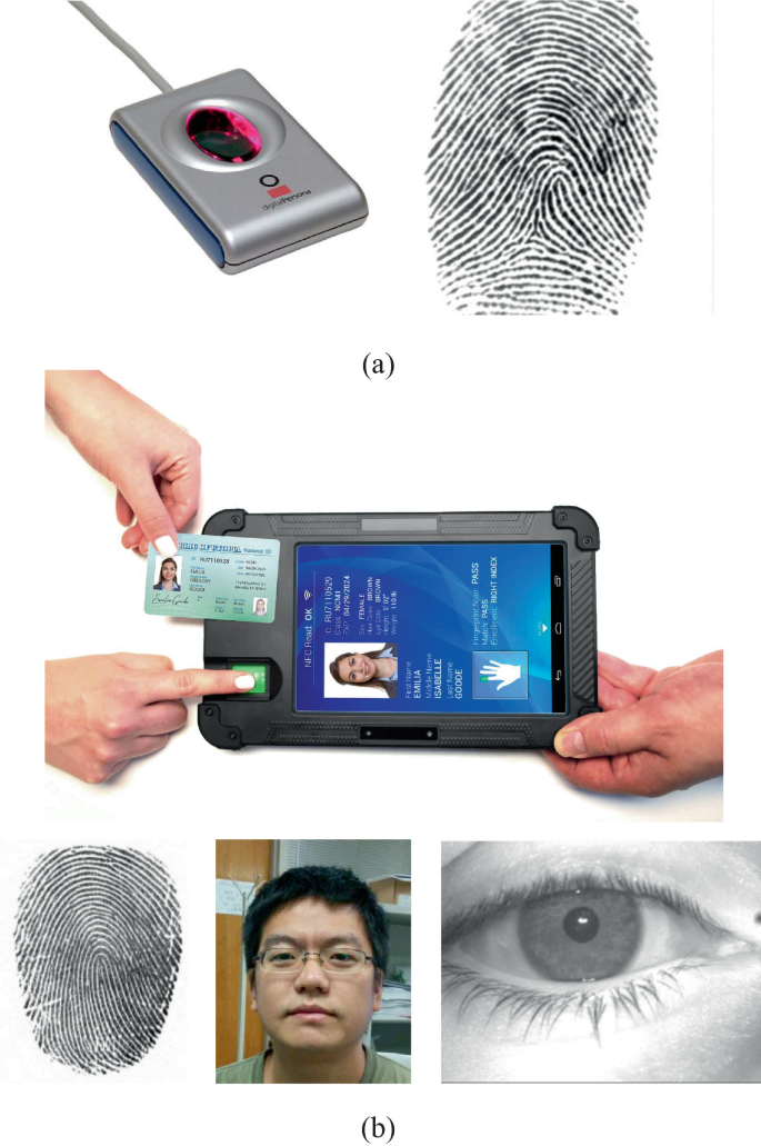 Multibiometrics | SpringerLink