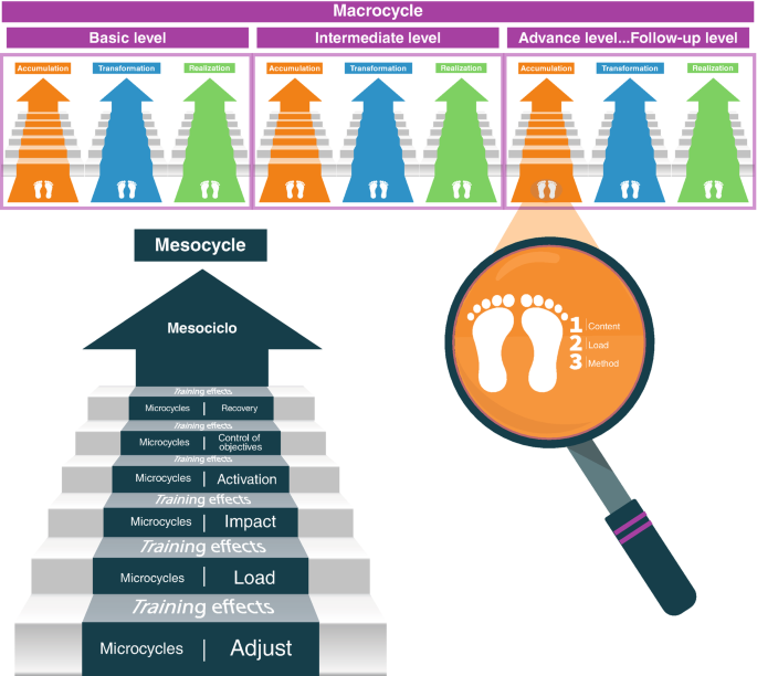 Mastering the Science of Training Program Development | SpringerLink