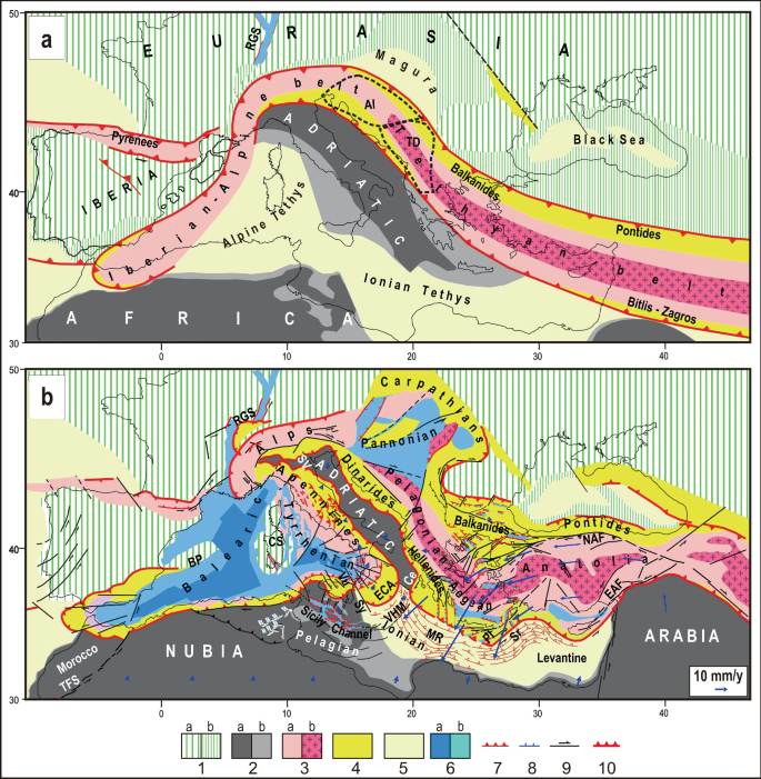 Neogenic Evolution | SpringerLink