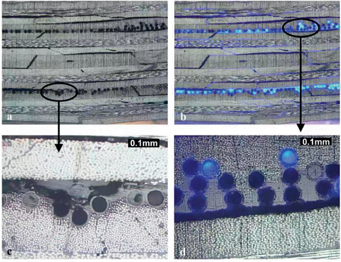 Properties and Analytical Applications of Advanced Polymer Composites ...
