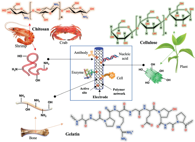 Advancement in Biosensors Based on Emerging Polymers | SpringerLink