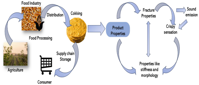Digital Acoustic Signal Analysis During Breaking of Brittle Foods ...
