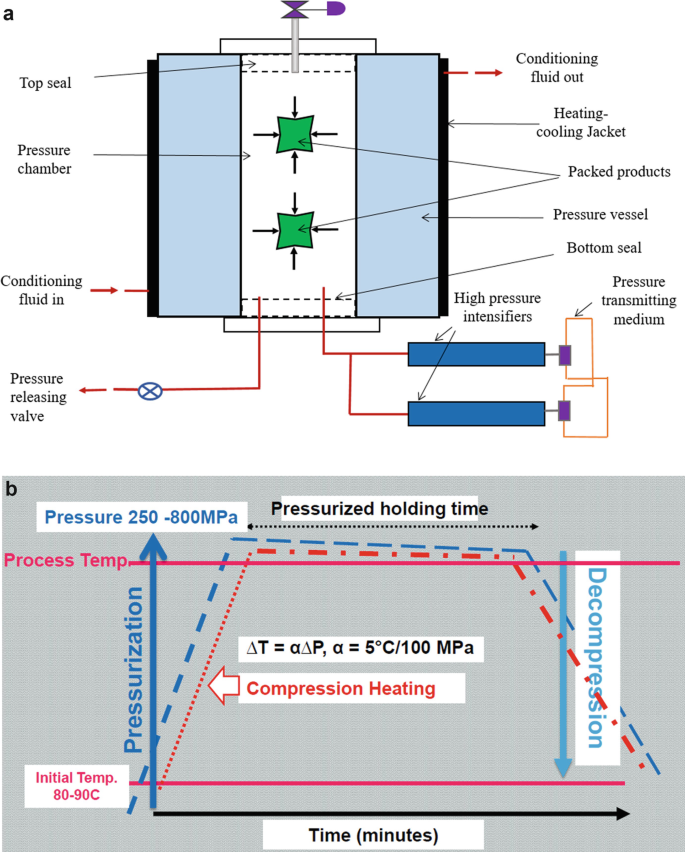 High-Pressure Processing of Food: A Promise and a Reality | Springer ...