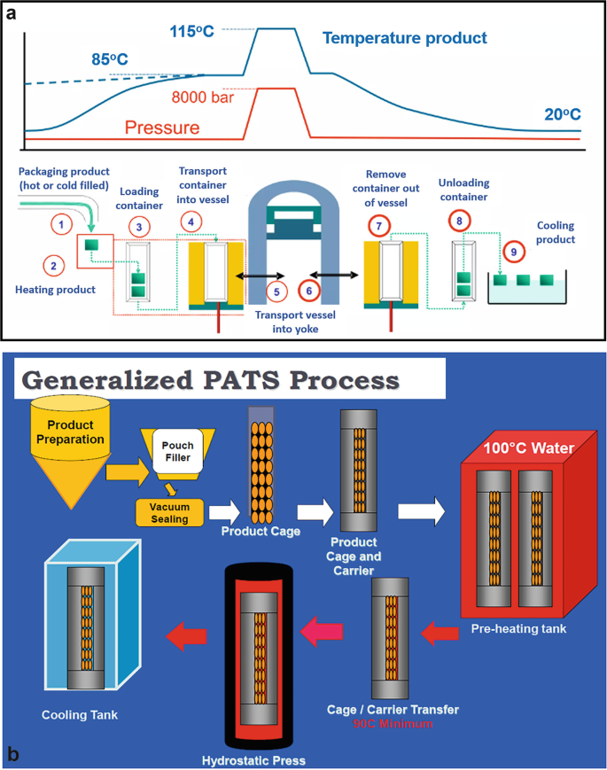 High-Pressure Processing of Food: A Promise and a Reality | Springer ...
