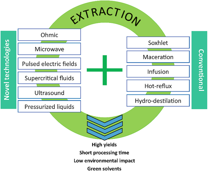 Solvent and Green Extraction Processes: Applications in the Food ...