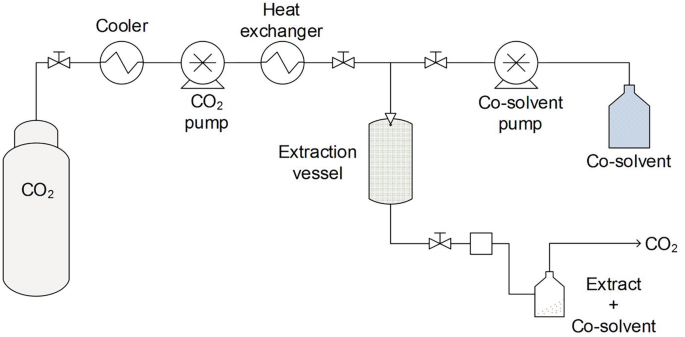 Solvent and Green Extraction Processes: Applications in the Food ...