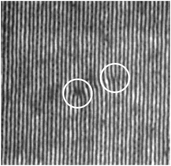 Nanofabrication by Self-Assembly | SpringerLink